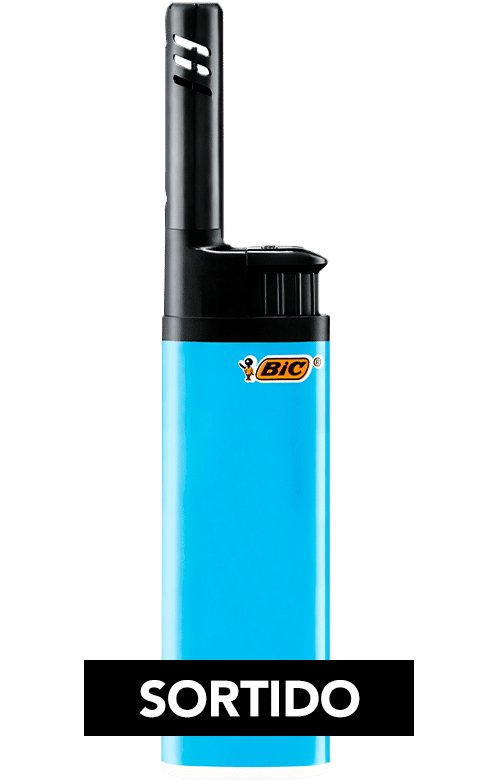 BIC Ez Reach
