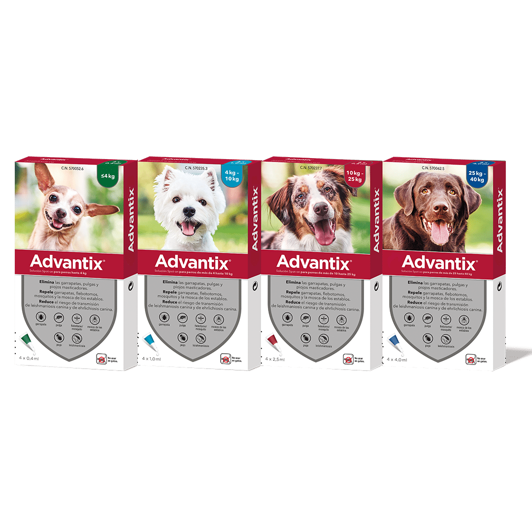 SERESTO COLLAR FOR SMALL DOGS W/O REFLECTOR